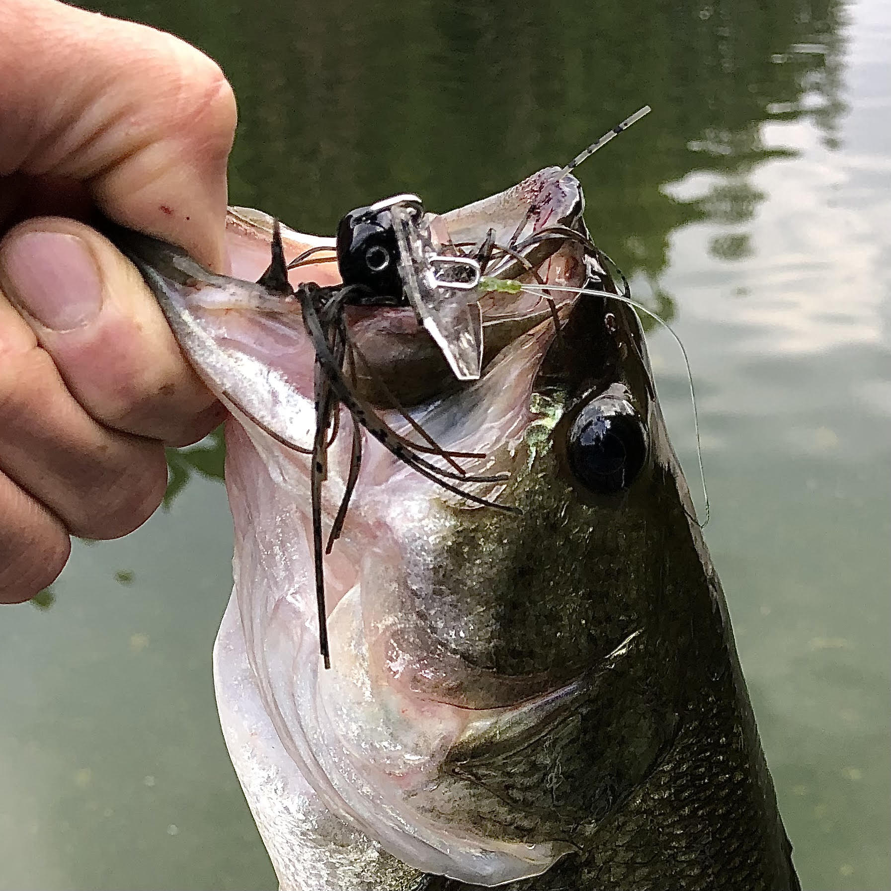 What is a Chatterbait: The Ultimate Guide for Anglers - FishingScope