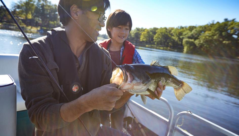 The Ultimate Trout Fishing Guide in Michigan: Catch More Fish Today ...
